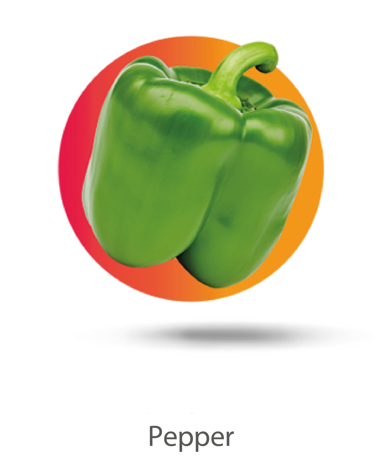 Chile pepper - SaveFruit